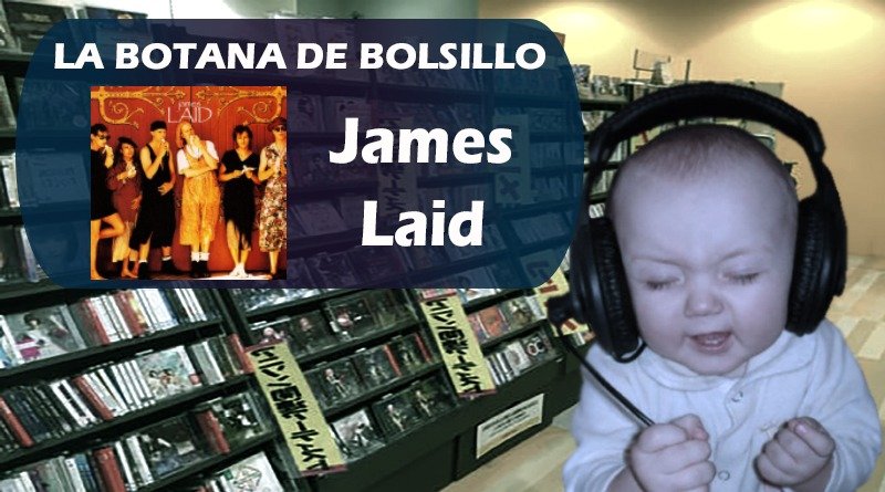 La Botana de Bolsillo. Laid – James. | Indie Rock Robotto.mx