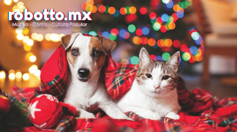 4° Edición de Felices Fiestas, Mascotas en NatGeo. | Robotto.mx
